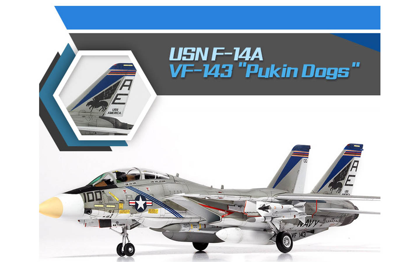 USN F-14A, VF-143 Pukin Dogs - Academy 12563 | kingshobby.com