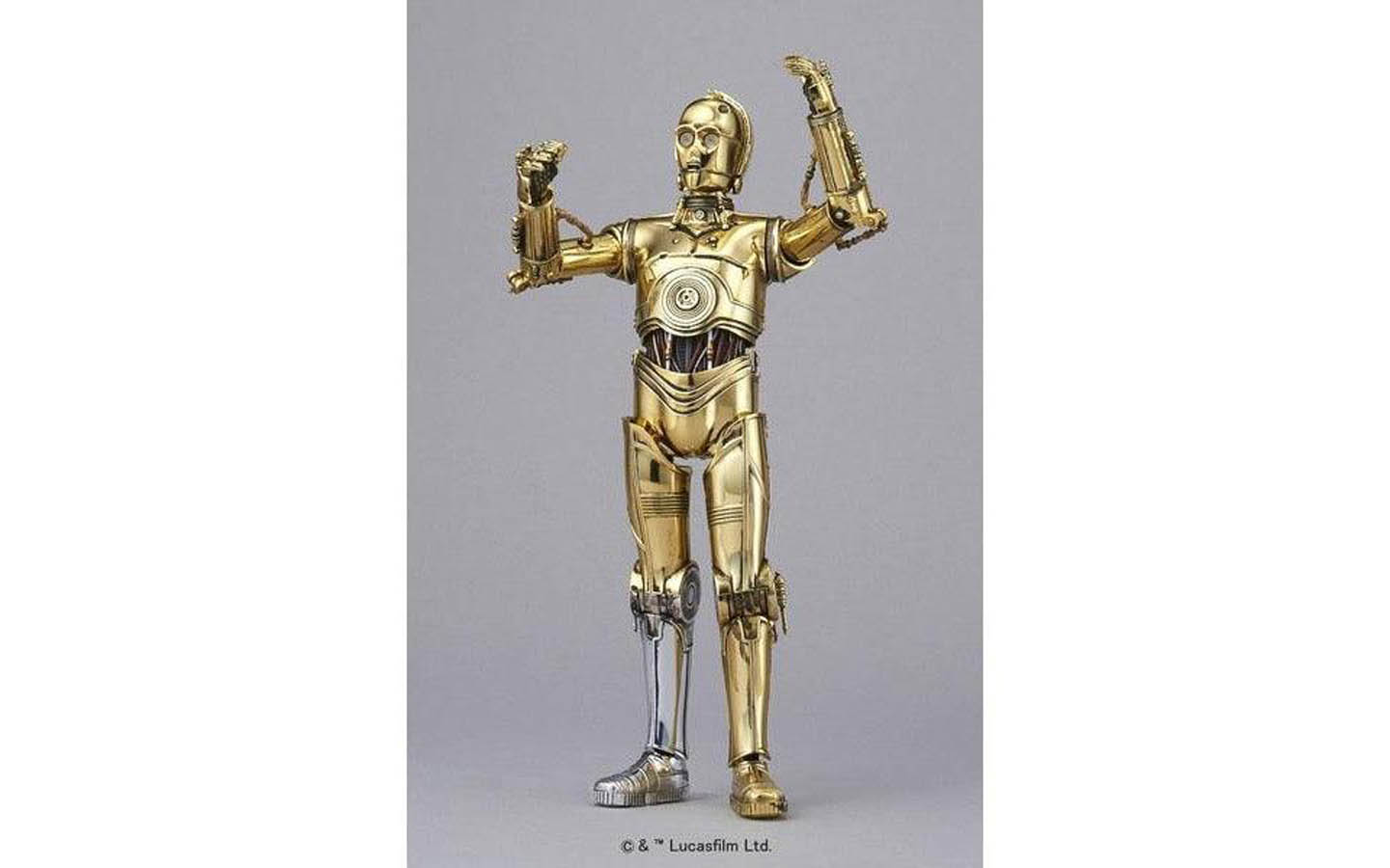 C-3PO, Protocol Droid, Star Wars - Bandai 196418 | kingshobby.com