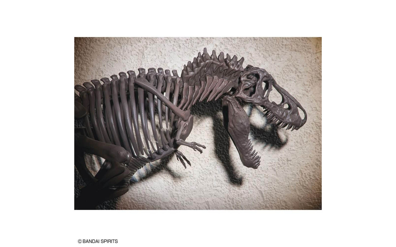 Imaginary Skeleton Tyrannosaurus, 5061800 - Bandai 2569327 | kingshobby.com