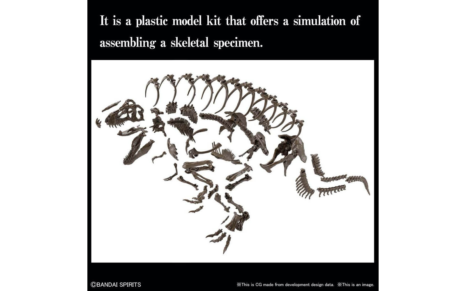 Imaginary Skeleton Tyrannosaurus, 5061800 - Bandai 2569327 | kingshobby.com