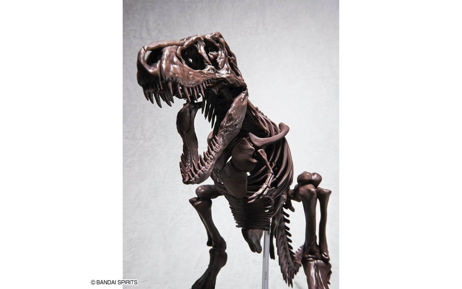 Imaginary Skeleton Tyrannosaurus, 5061800 - Bandai 2569327 | kingshobby.com