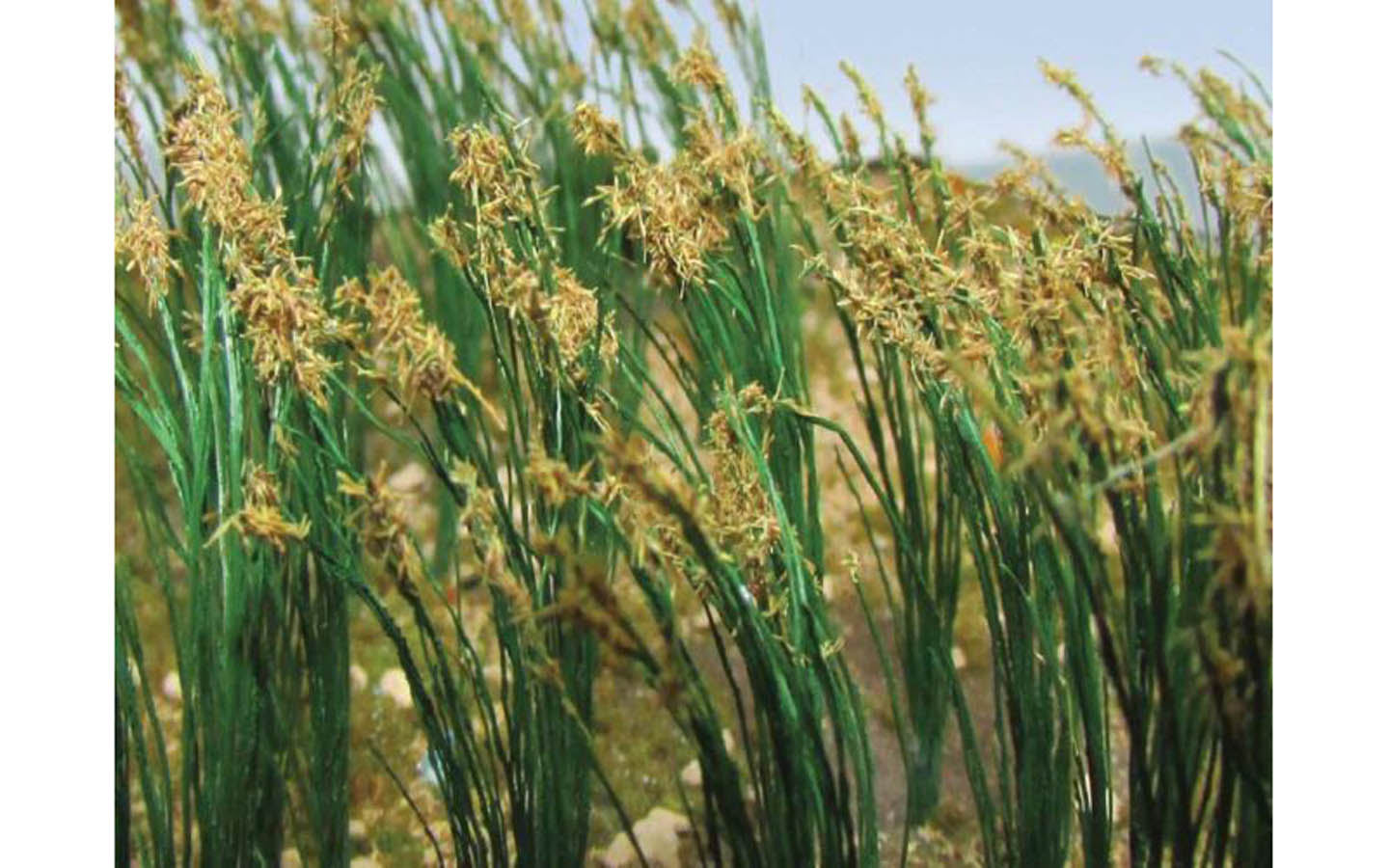 JTT Scenery Products - Reeds - 1" Tall (40 Per Pack) - Bachmann Trains ...
