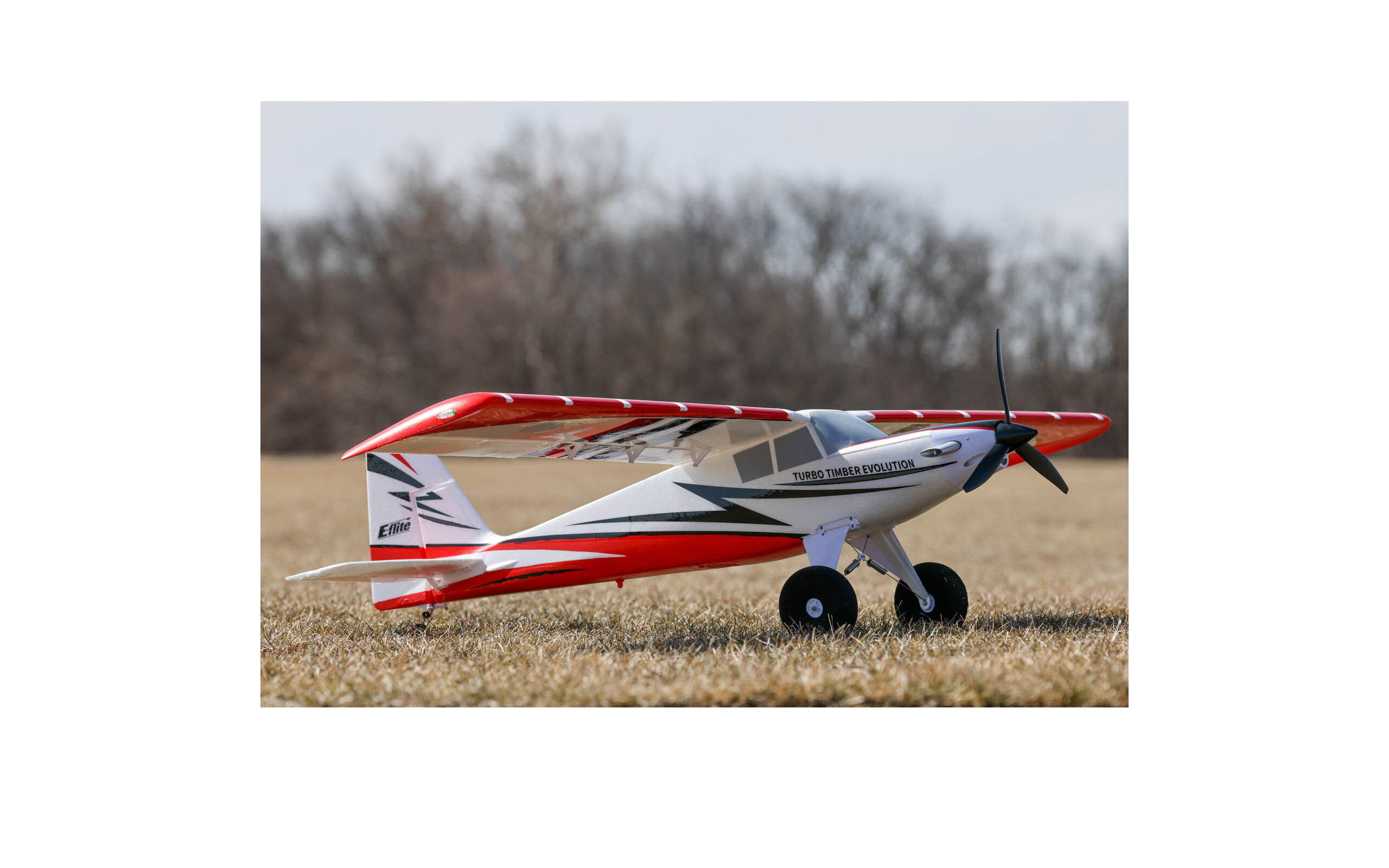 Turbo Timber Evolution 1.5m PNP, includes Floats - E-flite EFL105275 ...