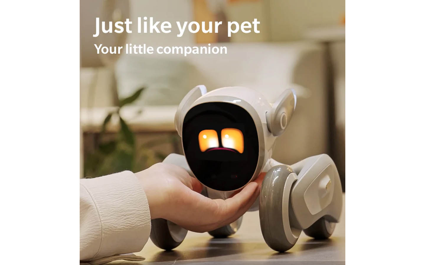 Loona Smart Robot Premium - KeyiTech loona-premium | kingshobby.com