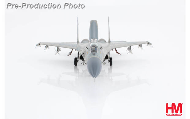 Su-27, Compass Ghost Grey, Ukrainian Air Force, 2023, AGM-88, IRIS-T ...