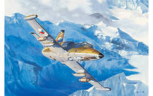 Home | kingshobby.com