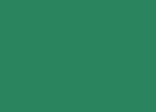 Green FS34227 Semi-Gloss #C312 Acrylic - 10ml Bottle - Mr. Hobby C312 ...